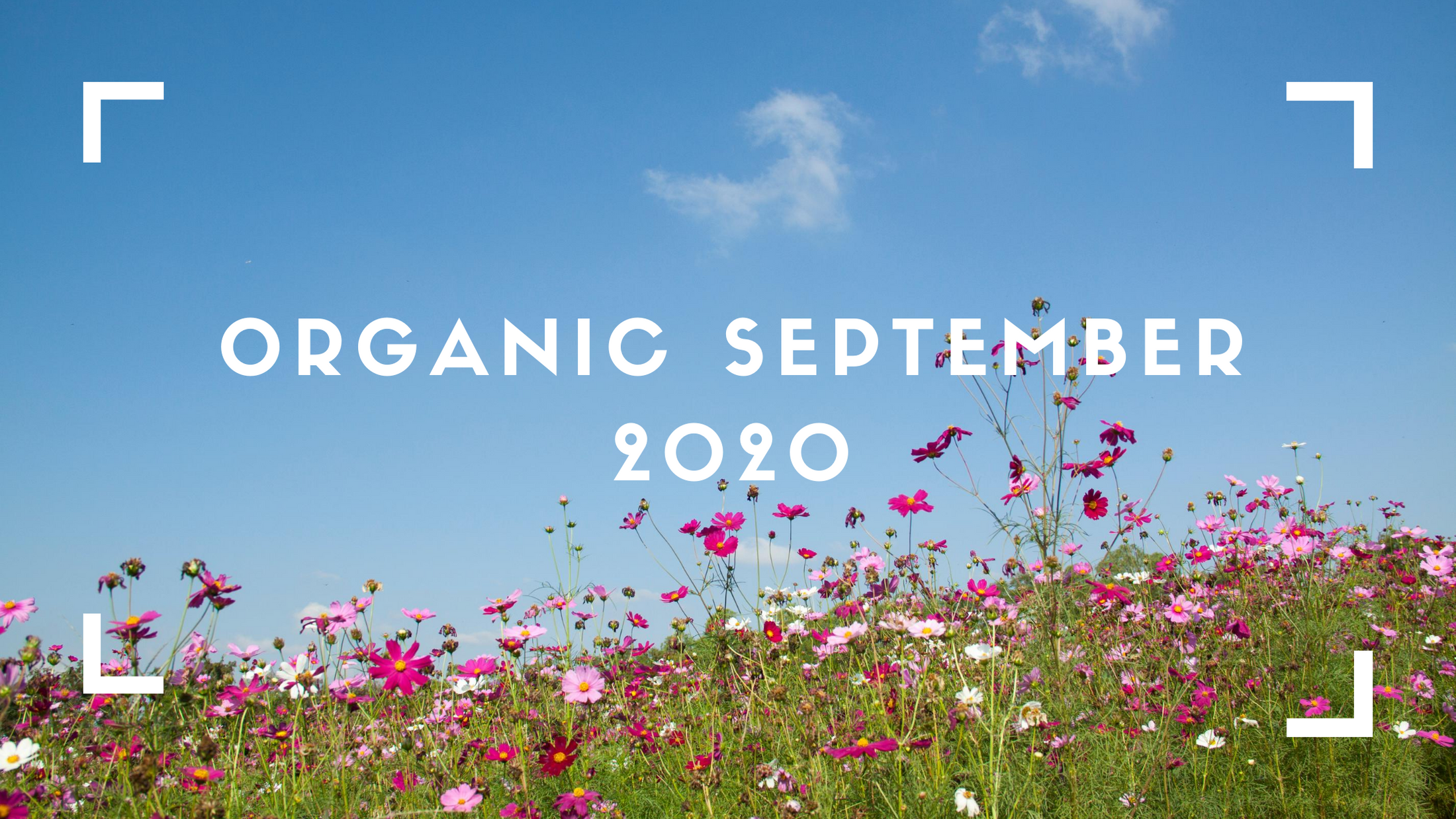 How to support Organic September | Cocoa Loco